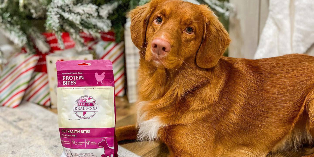 Treats — Raw Pet Food