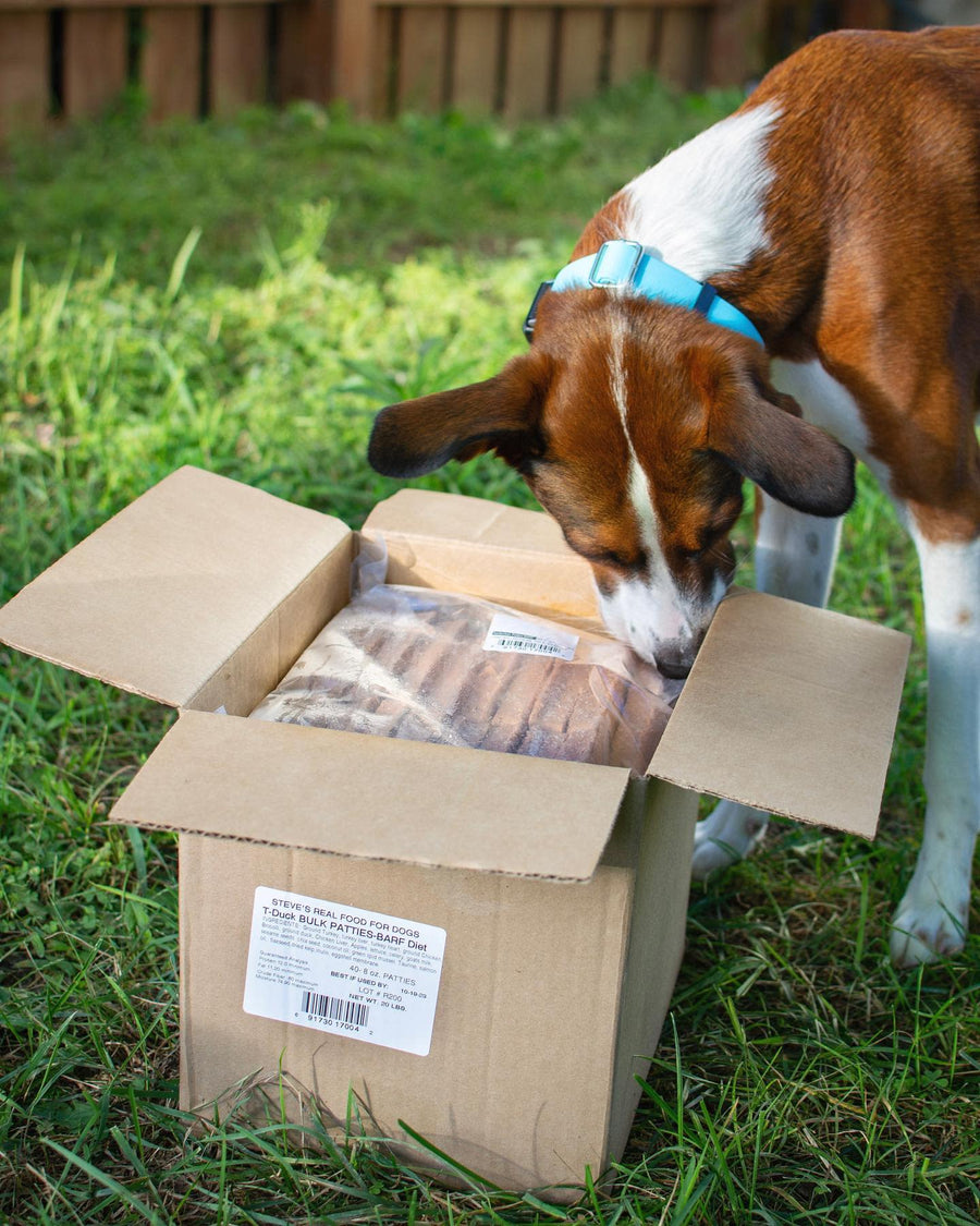 Steve's Real Food 20 LB Bulk Box - BEEF - Frozen Raw Pet Food