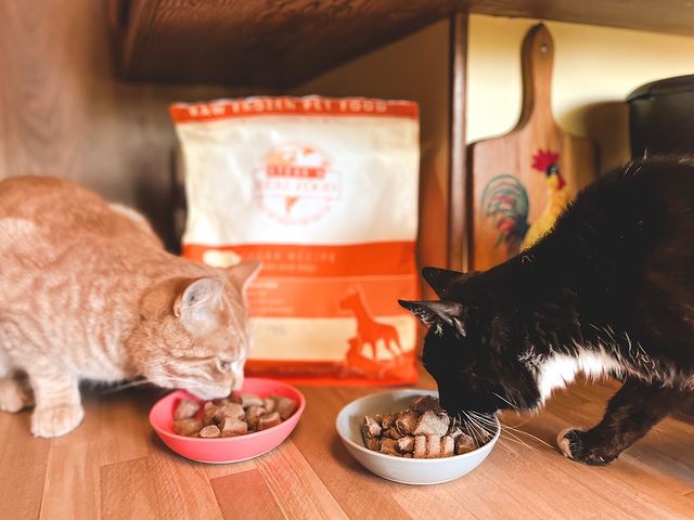 Steve's Real Food Pork Nuggets Frozen Raw Pet Food