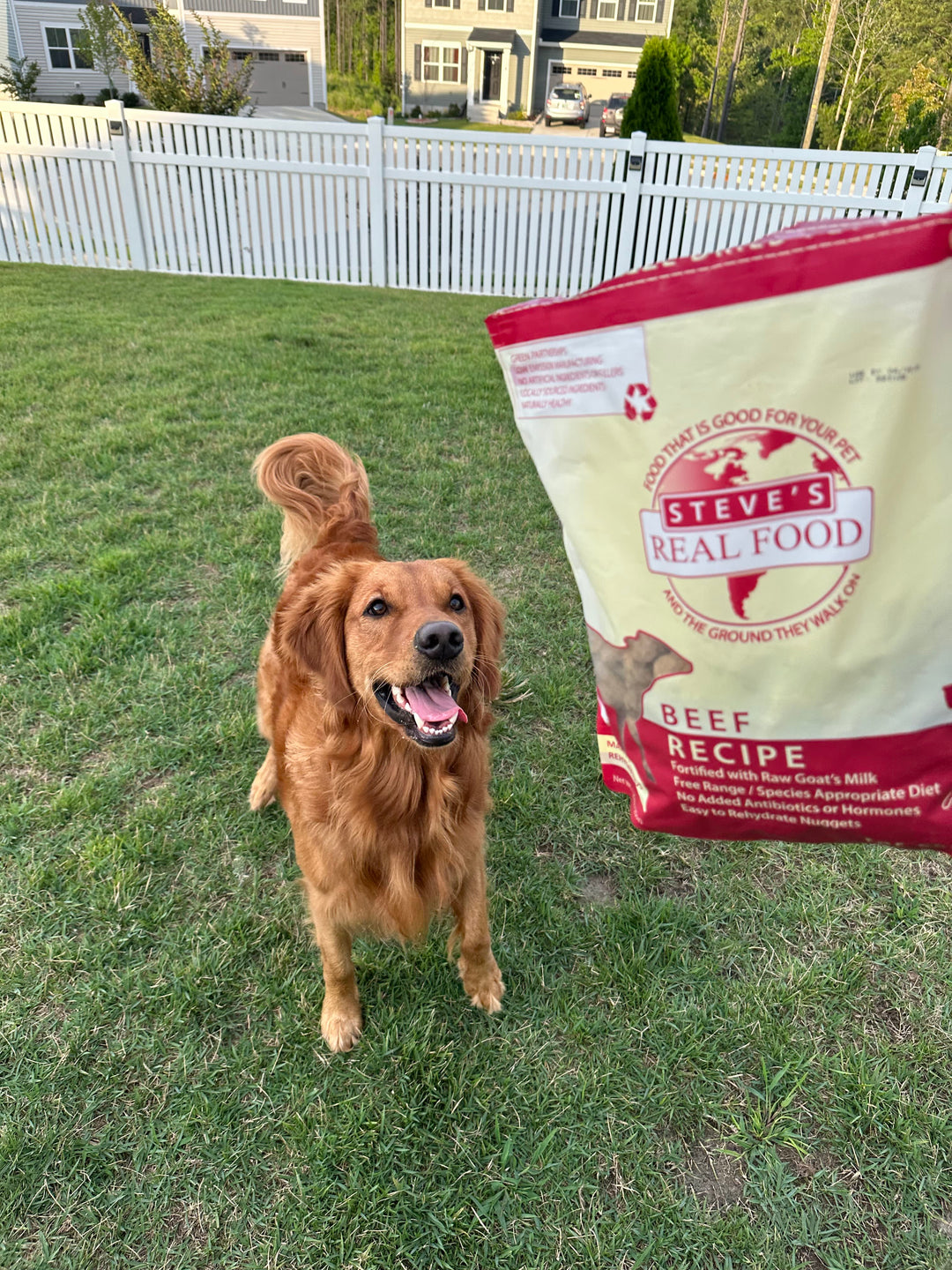 Steve's Real Food Freeze-Dried Raw Dog Food: Beef Nuggets – Raw Pet Food