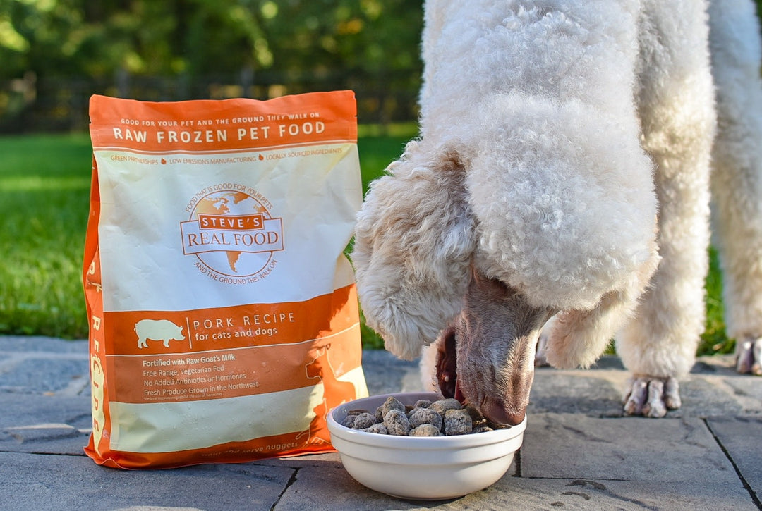 Steve's Real Food Pork Nuggets Frozen Raw Pet Food