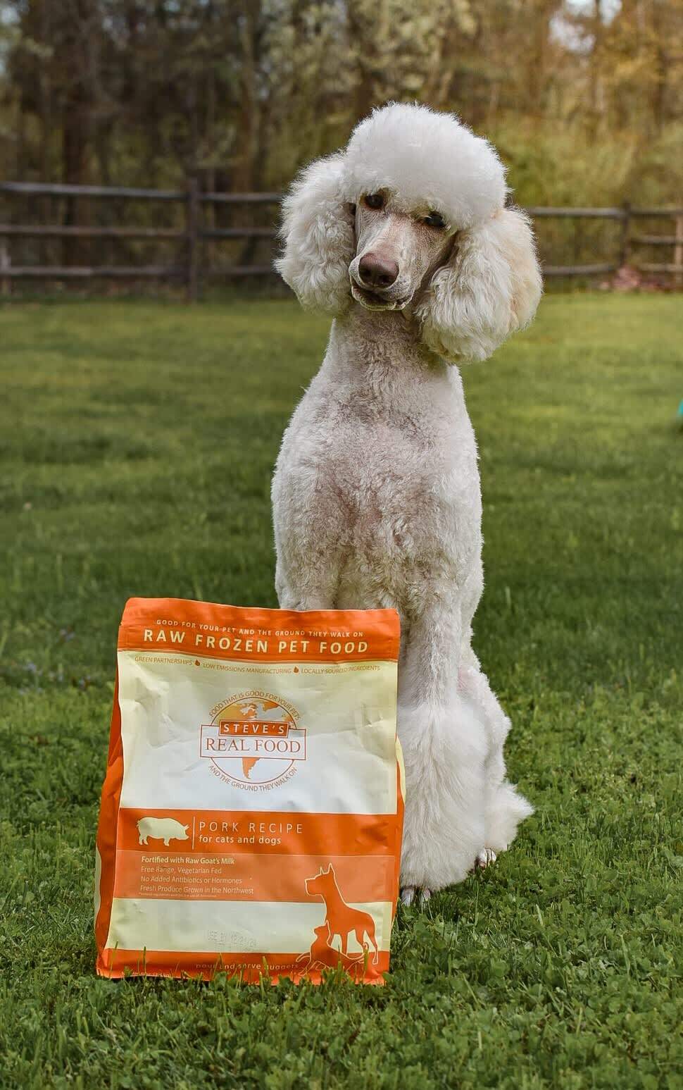 Steve's Real Food Pork Nuggets Frozen Raw Pet Food