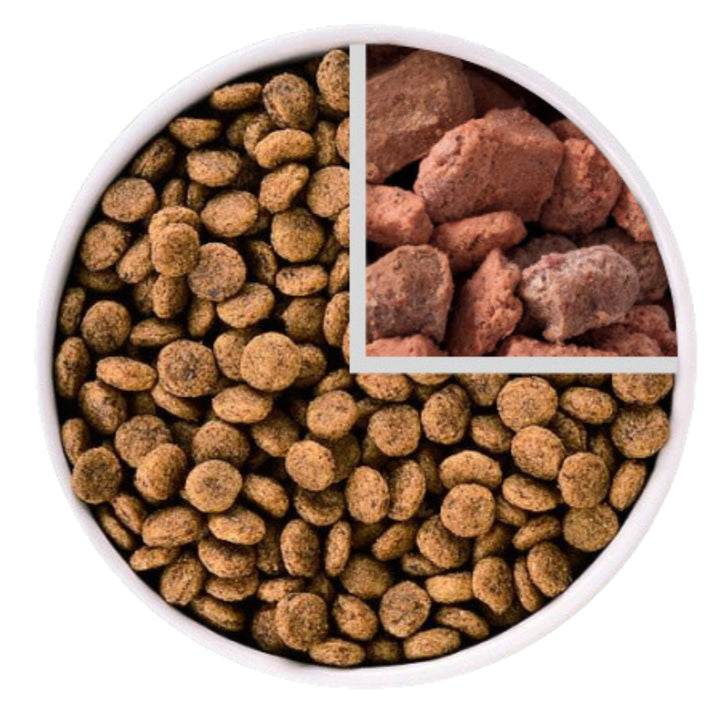 Steve's Real Food Online | Raw Dog Food Delivery | Raw Cat Food – Raw ...